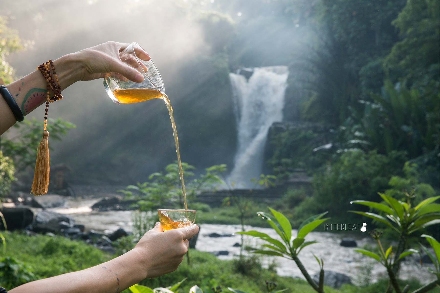 Week In Pictures (September 26 – October 2) | BITTERLEAF TEAS