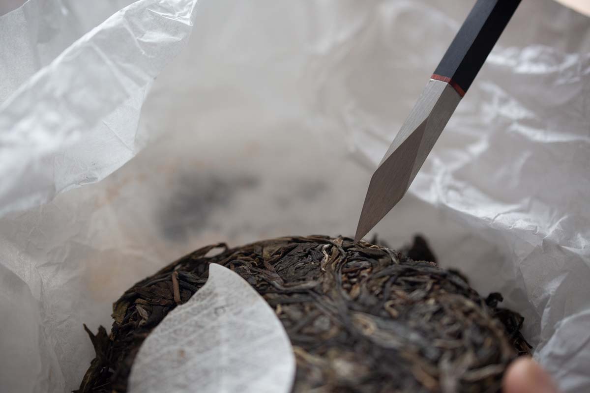 Planar Tea Pick | BITTERLEAF TEAS