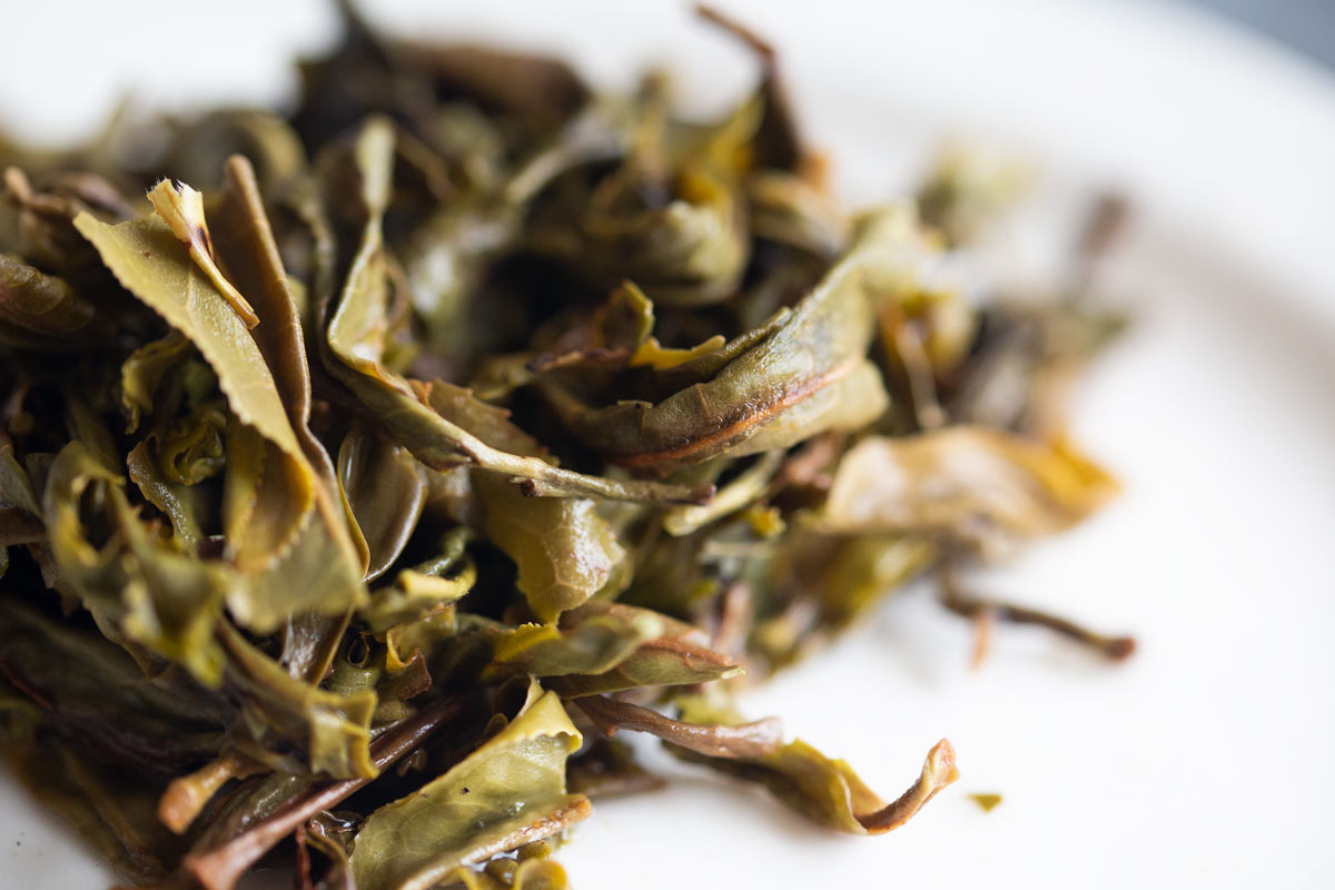 Laomane 2022 Raw Puer Huangpian | BITTERLEAF TEAS