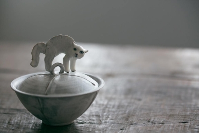 Shop Teaware | BITTERLEAF TEAS