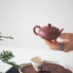 Chaozhou Da Hong Pao Clay Full Moon Teapot | BITTERLEAF TEAS