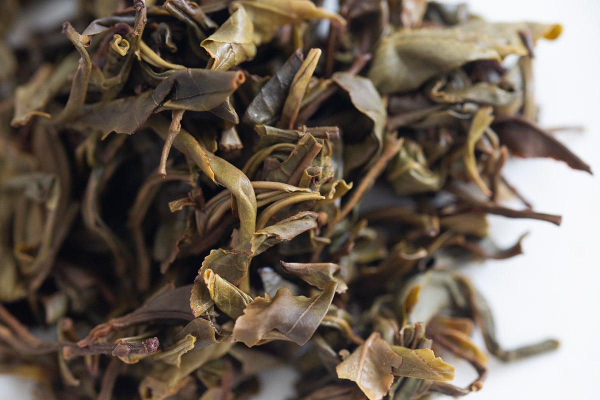 Element 2023 Yiwu Raw Puer | BITTERLEAF TEAS