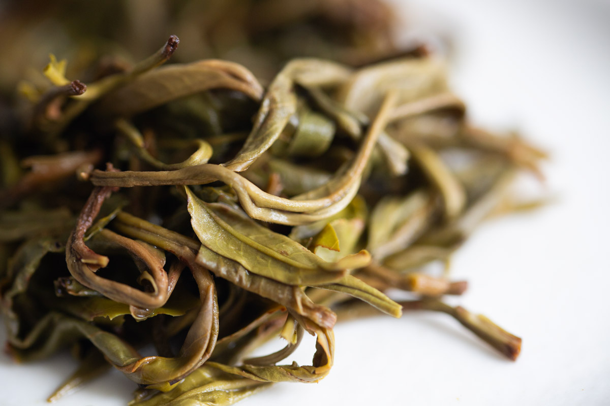 Bitter End 2024 Laomane Raw Puer | BITTERLEAF TEAS