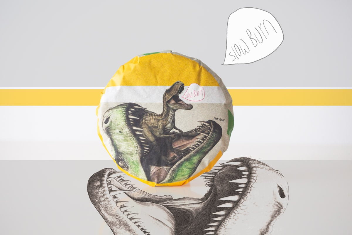 Slow Burn 2024 Baiying Shan Raw Puer | BITTERLEAF TEAS