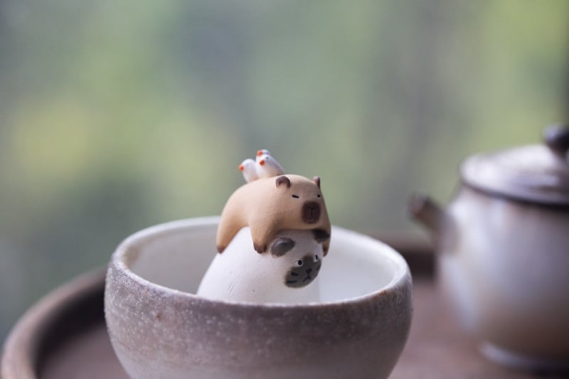 Capybara Tea Meowster Tea Pet | BITTERLEAF TEAS