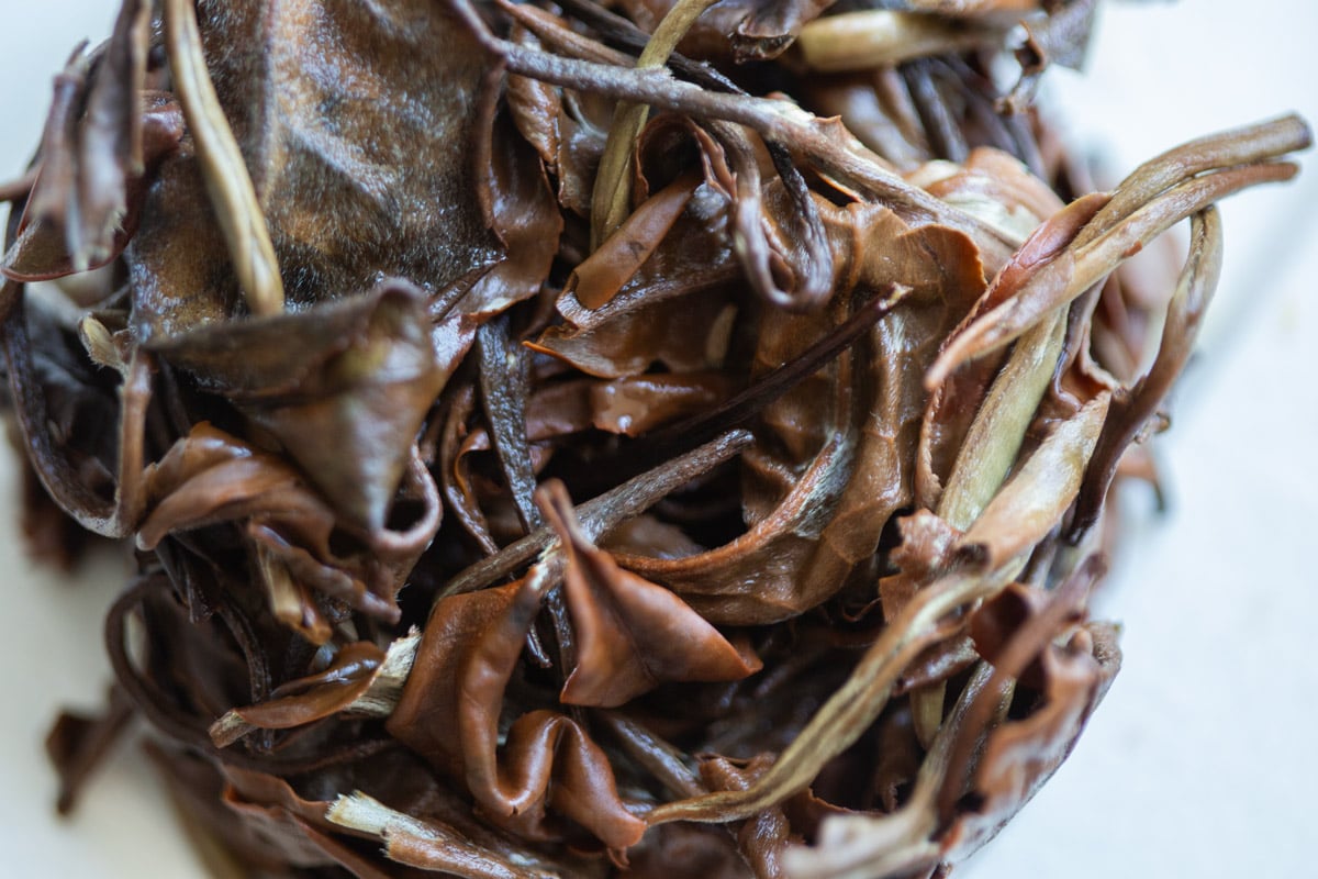 My Fair Lady 2024 Spring Simao Organic Shoumei White Tea | BITTERLEAF TEAS