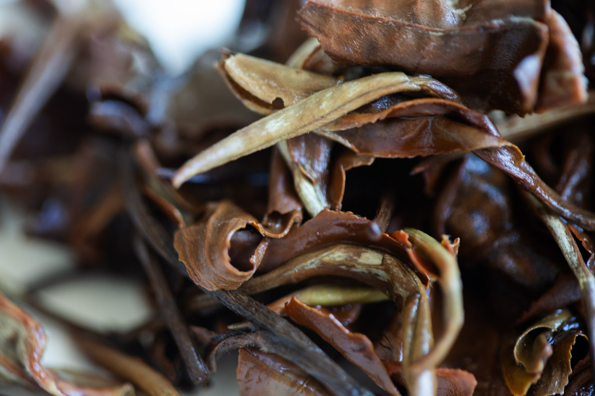 My Fair Lady 2024 Spring Simao Organic Shoumei White Tea | BITTERLEAF TEAS