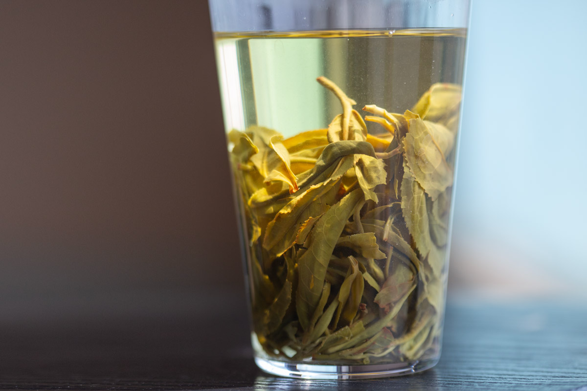 Full Of Beans 2025 Spring Simao Organic Green Tea | BITTERLEAF TEAS