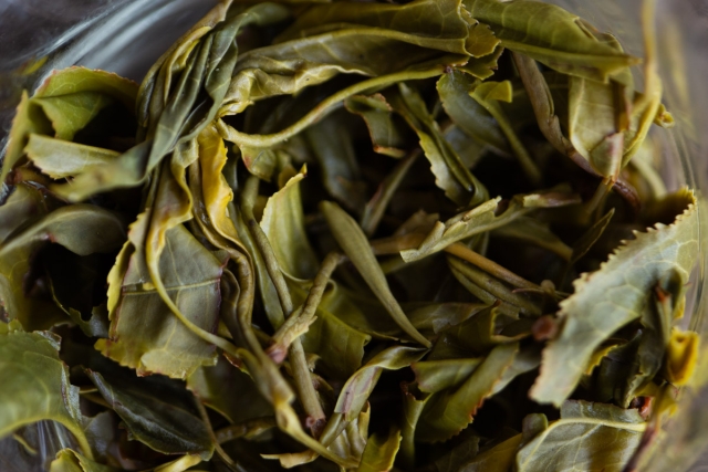 Full Of Beans 2025 Spring Simao Organic Green Tea | BITTERLEAF TEAS