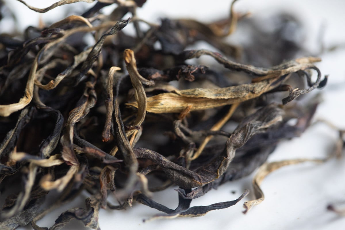 I've Got The Power 2025 Spring Laomane Black Tea | BITTERLEAF TEAS