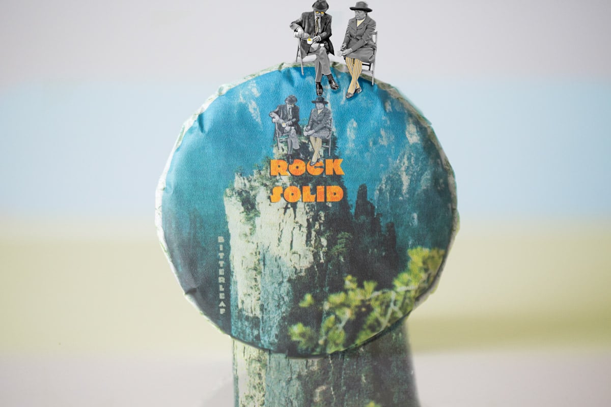 Rock Solid 2025 Spring Bangdong Raw Puer | BITTERLEAF TEAS