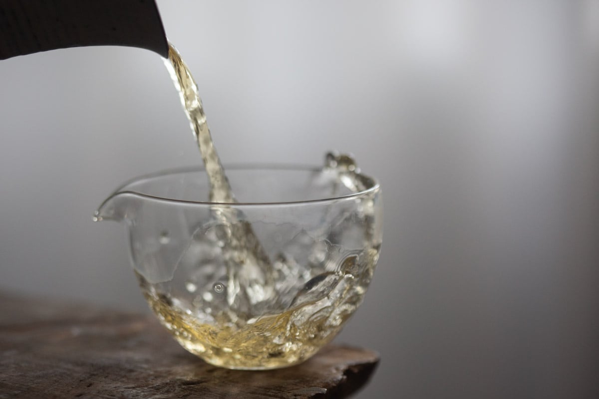 Rock Solid 2025 Spring Bangdong Raw Puer | BITTERLEAF TEAS