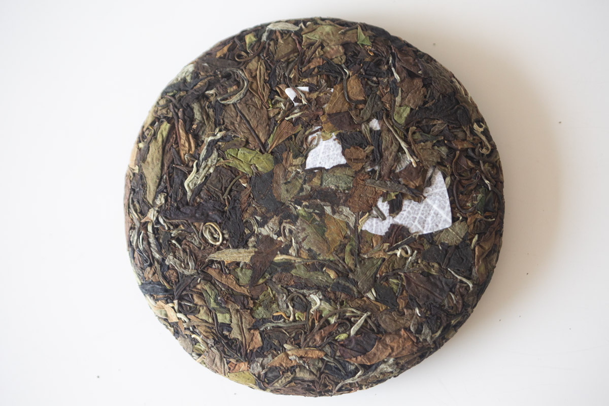 White Snake 2025 Spring Yiwu White Tea | BITTERLEAF TEAS