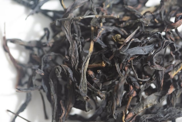 Double Scoop 2025 Winter/Xuepian Wuye Dancong Oolong | BITTERLEAF TEAS