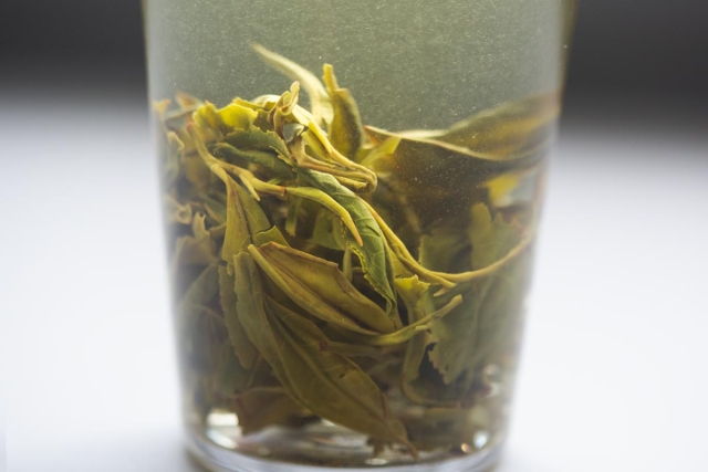 Early Bird 2026 Spring Simao Organic Green Tea | BITTERLEAF TEAS